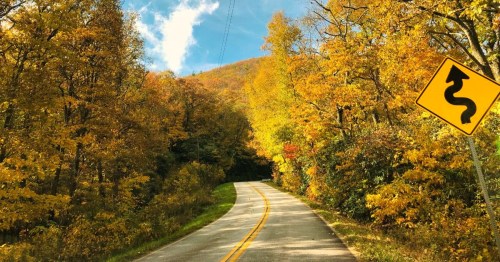 Best Small Town in Georgia to Visit in Fall: Ellijay
