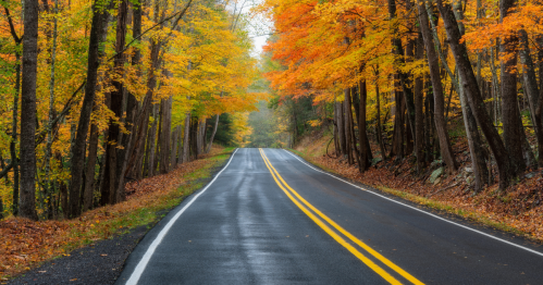 Virginia Fall Colors Guide 2025