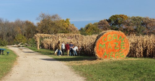 Here Are Wisconsin’s 5 Best Pumpkin Patches