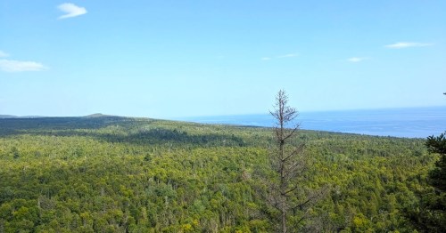 4 Underrated National Forest Hikes in Minnesota