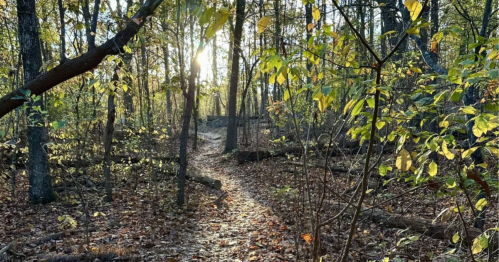 Embrace Fall at Monte Sano State Park in Alabama