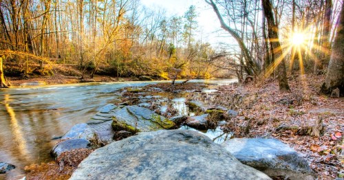 Best Times and Places to See Fall Foliage in Mississippi