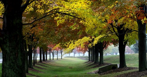 The Best Times and Places to See Fall Foliage in Illinois