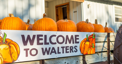 Pumpkin Patches: Best Things To Do In Kansas City And Beyond