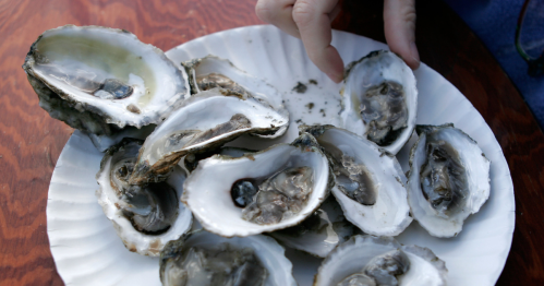 The 7 Best Fall Festivals in Massachusetts in 2025