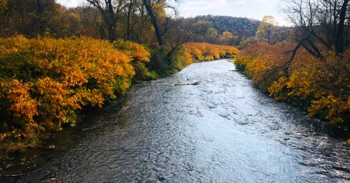 The Best Spots to See Fall Foliage in Iowa 2025