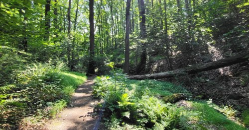 The Epic Scenic Trail in Maryland's Patapsco Valley State Park