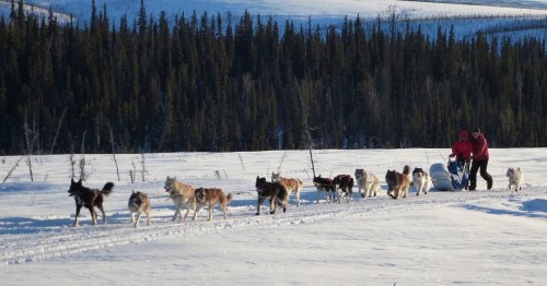The Story of Portlock, AK: An Abandoned Town in Alaska