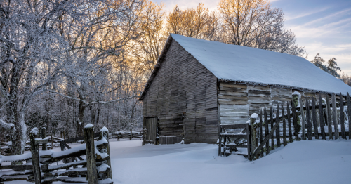 The 5 Clearest Lakes in Kentucky for Swimming This Summer