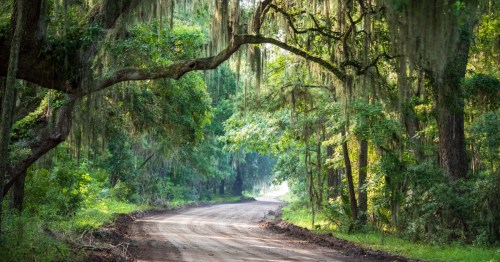 5 Hidden Gems in South Carolina Locals Don’t Want Tourists to Find