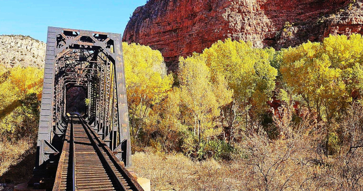 Experience Arizona’s Most Scenic Fall Train Ride