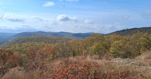 Georgia State Route 11 Runs Through The Whole State