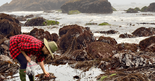 Ferguson, South Carolina: A Unique Underwater Ghost Town