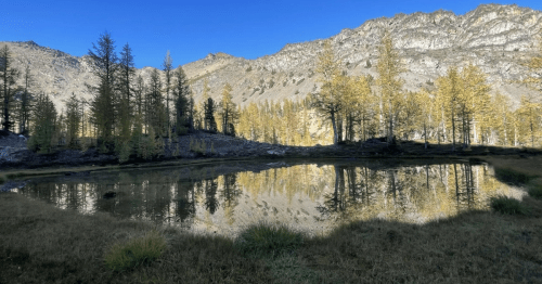 Twisp, Washington: The Mountain Town That Feels Like Norway’s Fjords