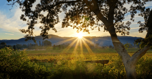 8 Of The Best Fall Festivals In Southern California