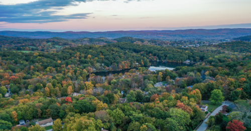 The Raptor Trust In New Jersey Is An Underrated Wild Bird Center