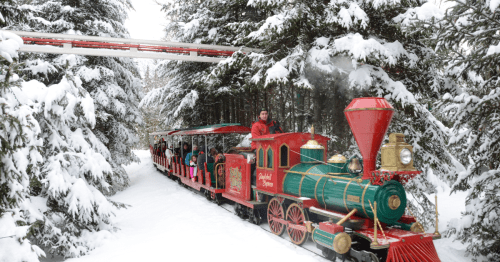The Six Best Pumpkin Patches in New Hampshire