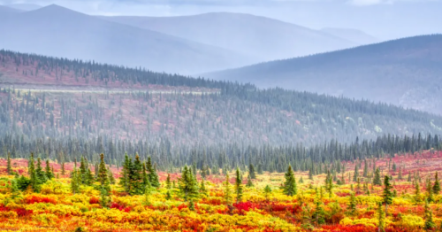 Take the Drive to This Remote Destination in Alaska