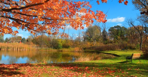 Best Fall Festivals in Michigan: Tecumseh's Appleumpkin Festival