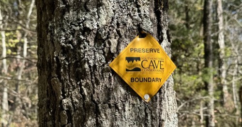 Hike to Neversink Pit, Alabama’s Most Jaw-Dropping Cave