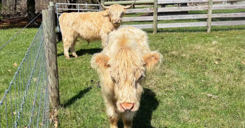 11 Most Charming Apple Cider Mills In Ohio