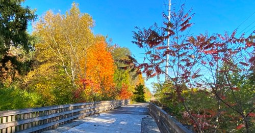 This Michigan Town Is a Perfect Fall Day Trip Destination