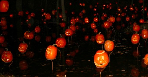 Most Charming Orchard Near Cleveland: Beckwith Orchards