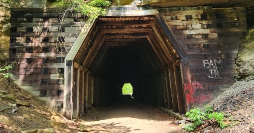 The Breathtaking Murch Canopy Walk In Ohio at Holden Arboretum