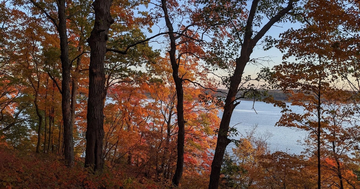 Fall Day Trips in Missouri: This Charming Autumn Town