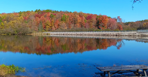 Discover Keystone State Park: Best Fall Foliage in the U.S.