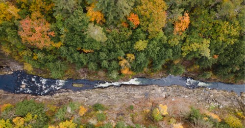 Things to Do in Middlebury, VT: A Charming Mid-Sized City