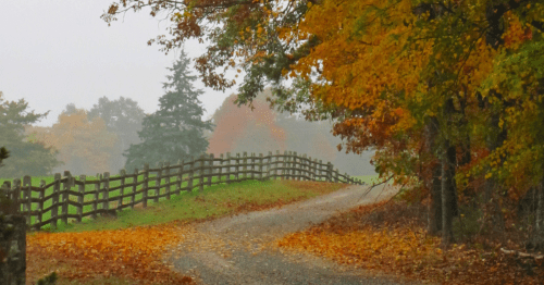 Exploring 6 Amish Communities in Virginia