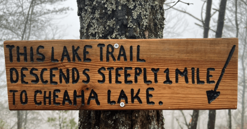 Hike Alabama’s Rock Garden Trail at Cheaha State Park
