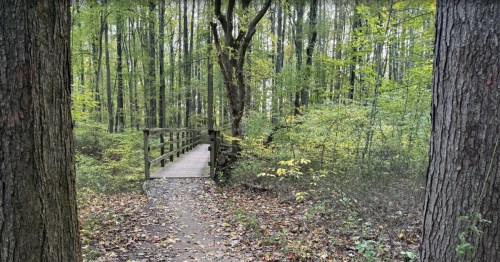 Learn How To Spend 24 Perfect Hours in Smyrna, Delaware