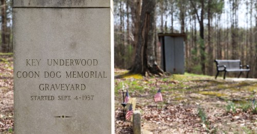 12 Quirky but True Facts About Alabama You May Not Know