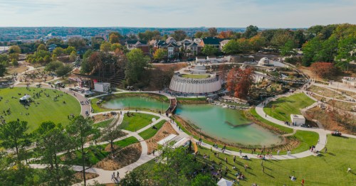 Ferguson, South Carolina: A Unique Underwater Ghost Town