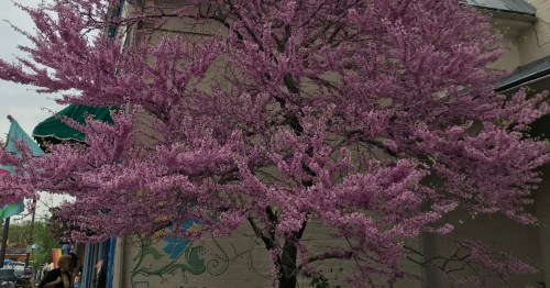 13 Unforgettable Places in Ohio to Visit in Winter