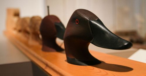 Weird Facts About Maryland You Must Know