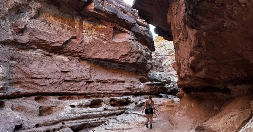 Hidden Gem National Forest in Arizona: Apache-Sitgreaves National Forest