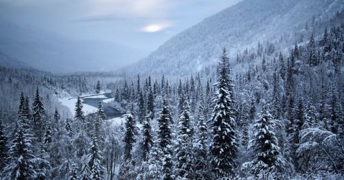 Here Are The 11 Most Enchanting, Magical Christmas Towns In Alaska