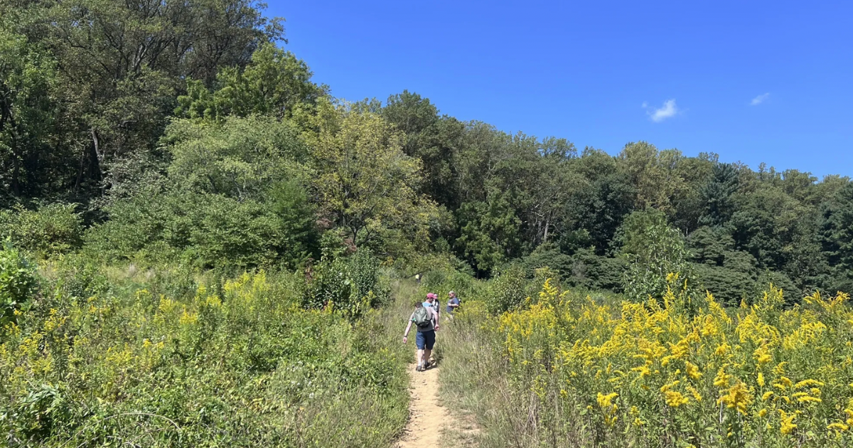 Explore Mount Joy to Mount Misery Trail in Pennsylvania