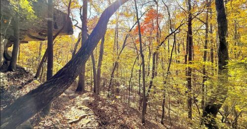 Mississippi's Tightest Trail Features Rock Overhangs and Formations