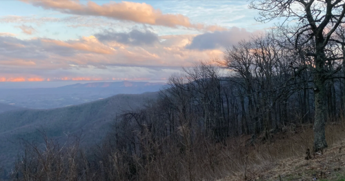 These Must-See Attractions in Virginia Are Worth the Hype
