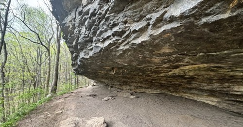 Fun Things To Do In Delta, Alabama