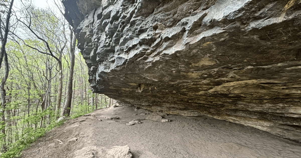 This Scenic Alabama Trail Is Even Better in the Winter