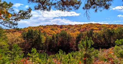 The Up-and-Coming City in Missouri That Has It All