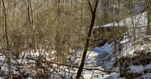 9 Ridiculously Weird But Totally True Facts About Mississippi