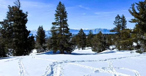 This Quiet Scenic Trail in Nevada Is Even Better in the Winter (Here’s Why)