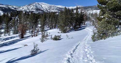 This Quiet Scenic Trail in Nevada Is Even Better in the Winter (Here’s Why)