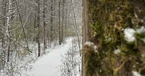 Check Out The Interesting And Odd Subtropolis Caves In Missouri